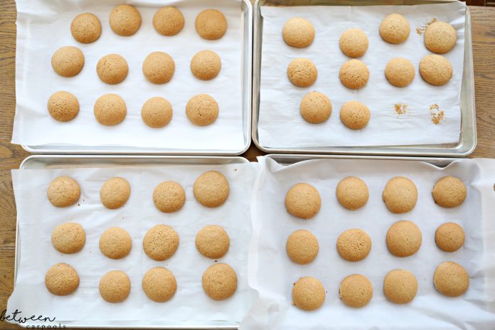 Perfect Honey Cookies For Rosh Hashanah - Between Carpools