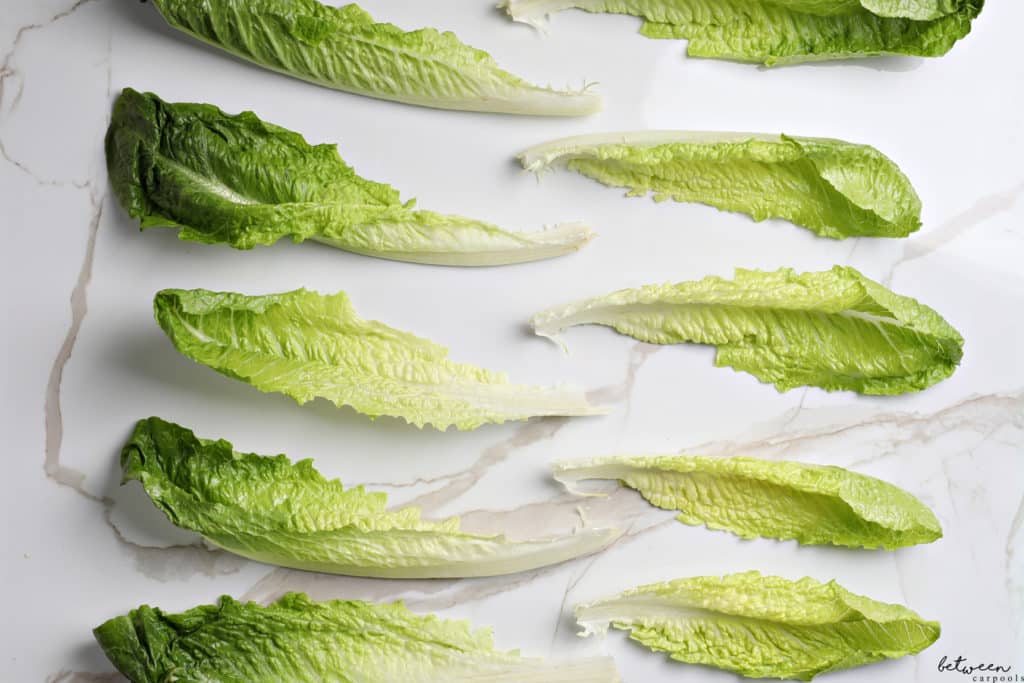 How to Keep Your Romaine Leaves Crisp - Between Carpools