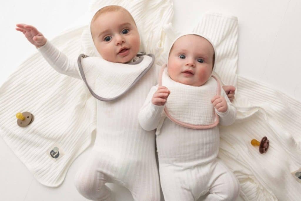 Is a Brisket or a Chuck Roast Best for Pulled Beef? - Between Carpools