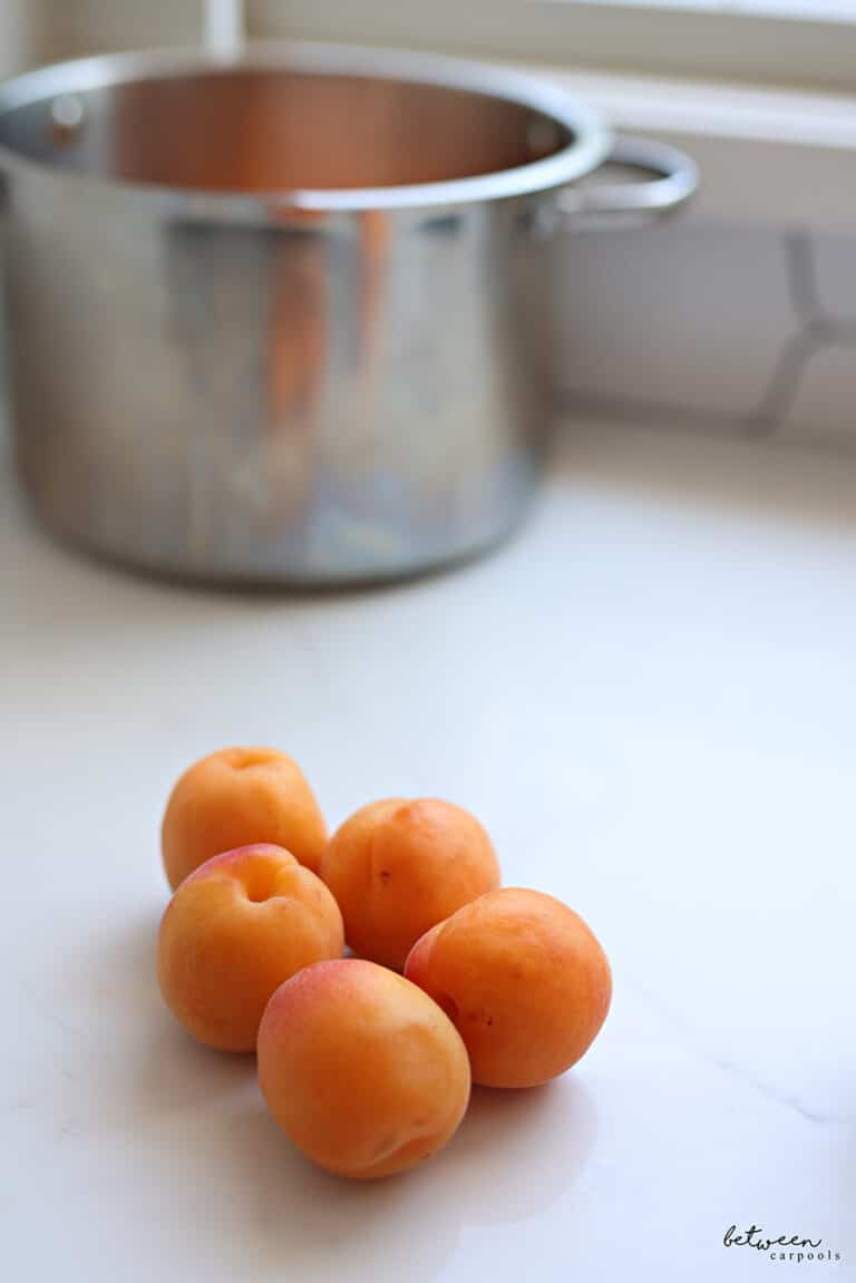 Taste It and You’ll Love It: Refreshing Apricot Compote - Between Carpools
