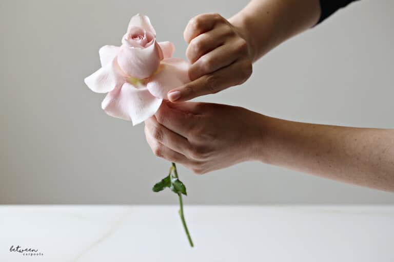 How to Turn Basic Roses from Beautiful to Breathtaking - Between Carpools