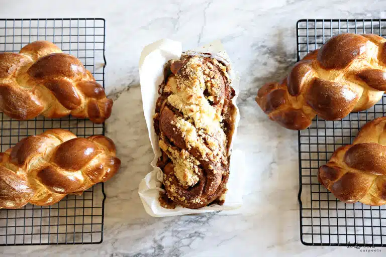 Vanilla-Cinnamon Babka Made with Challah Dough - Between Carpools
