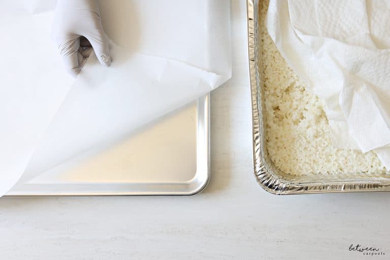 Crispy Sushi Rice Cakes - Between Carpools